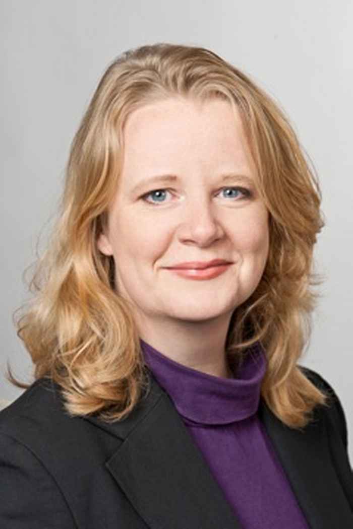 Catalyst structure identified in an operating PEM fuel cell - HIMS ...