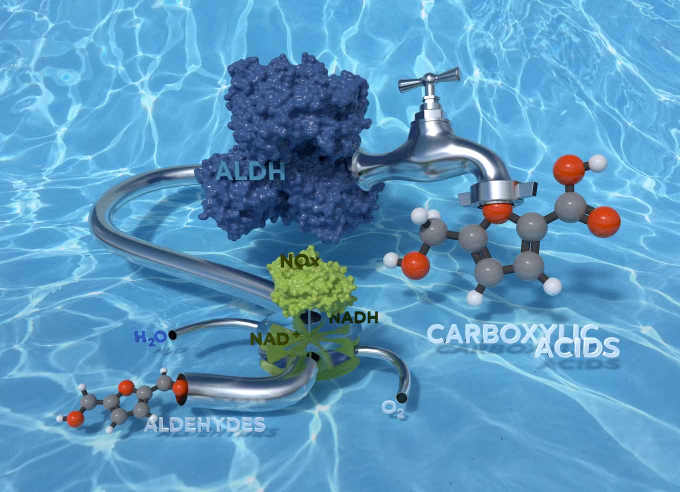 Sustainable and very selective biocatalytic conversion of aldehydes to ...