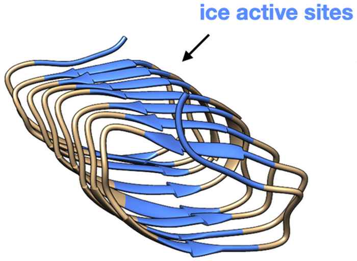 Vibrational Spectroscopy - Molecular Photonics - HIMS - University of ...