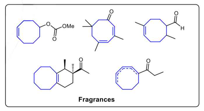 New method for constructing 8-membered ring compounds - HIMS ...