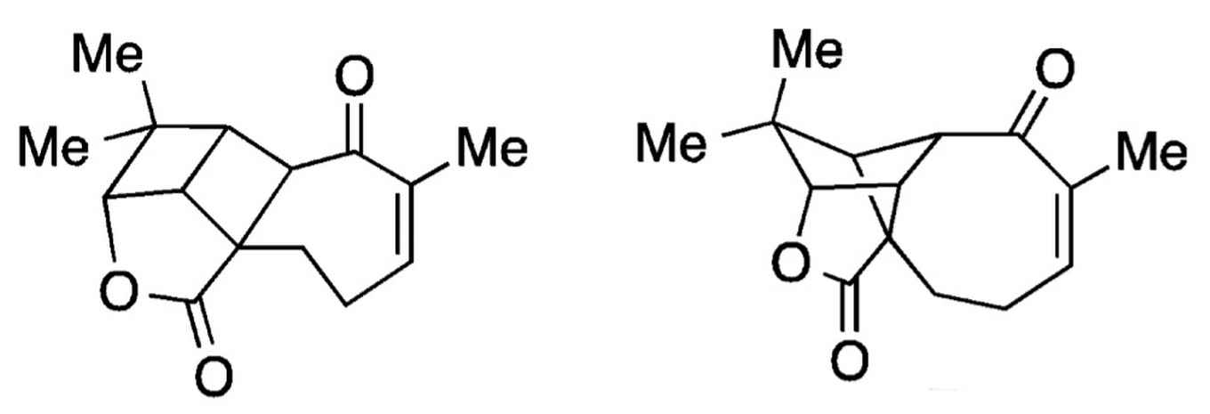 Amsterdam aquatolide synthesis enables Science publication on NMR ...