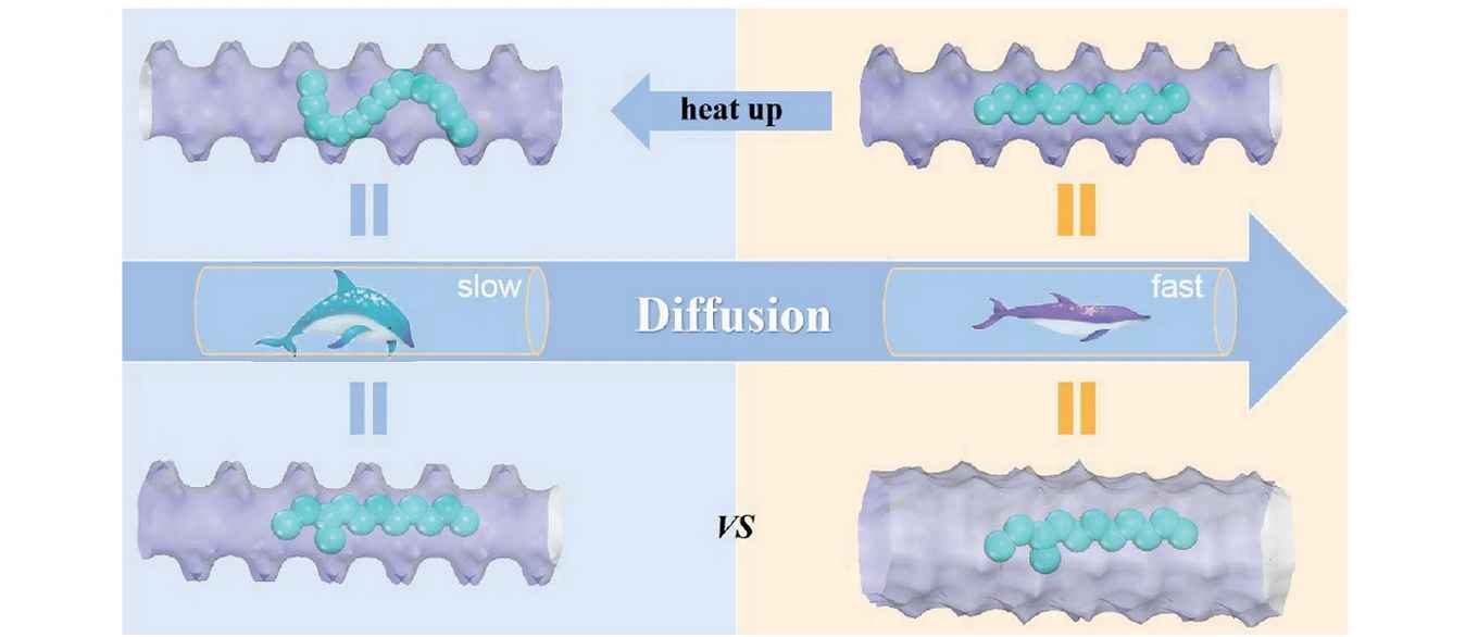 Anomalous diffusion of confined long-chain molecules: the thermal ...