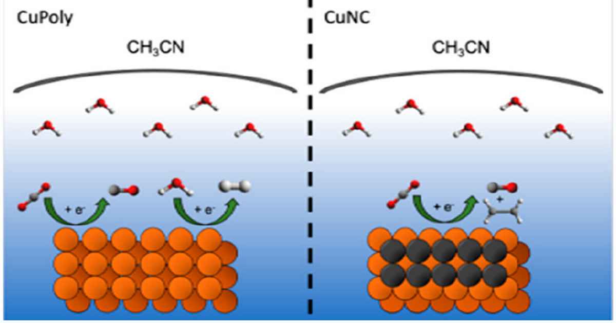 Electrochemical CO2 reduction in an organic solvent using ...
