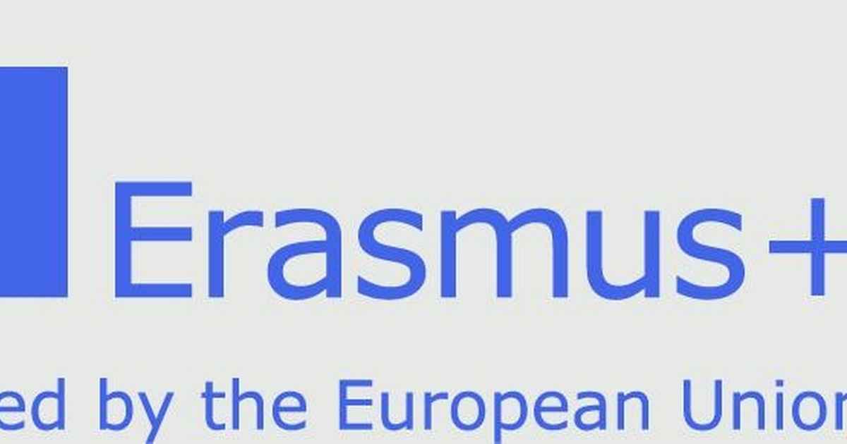 Erasmus + Strategic Partnership grant awarded - HIMS - University of ...