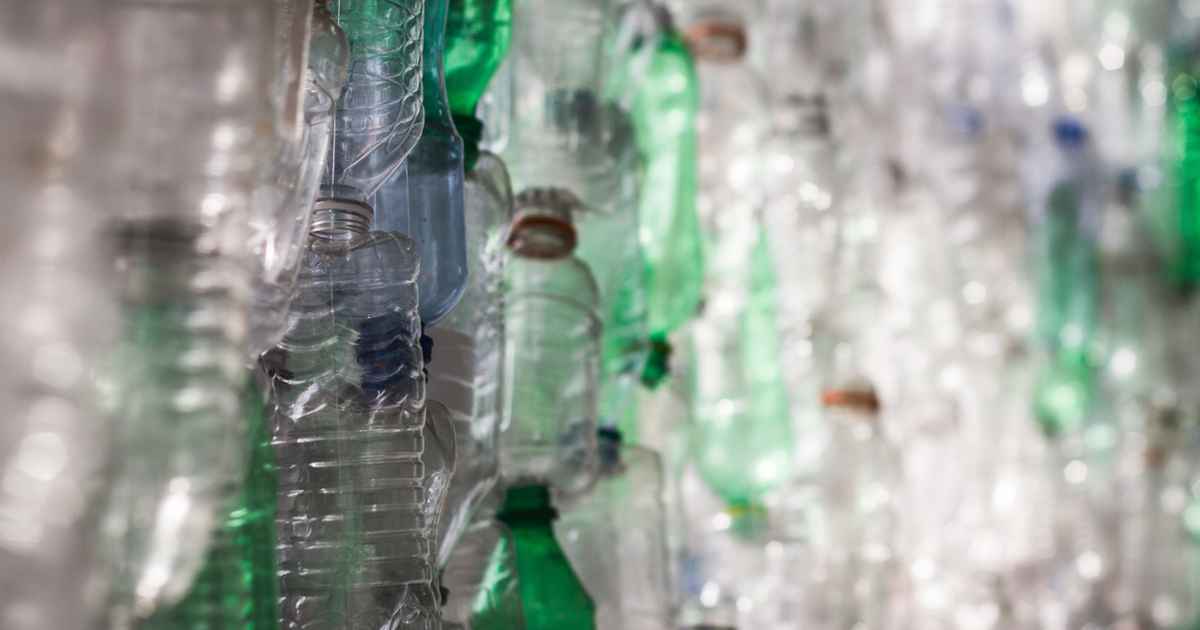 Consumers favour bio-based alternatives over traditional fossil-based ... Consumers favour bio-based alternatives over traditional fossil-based ...
