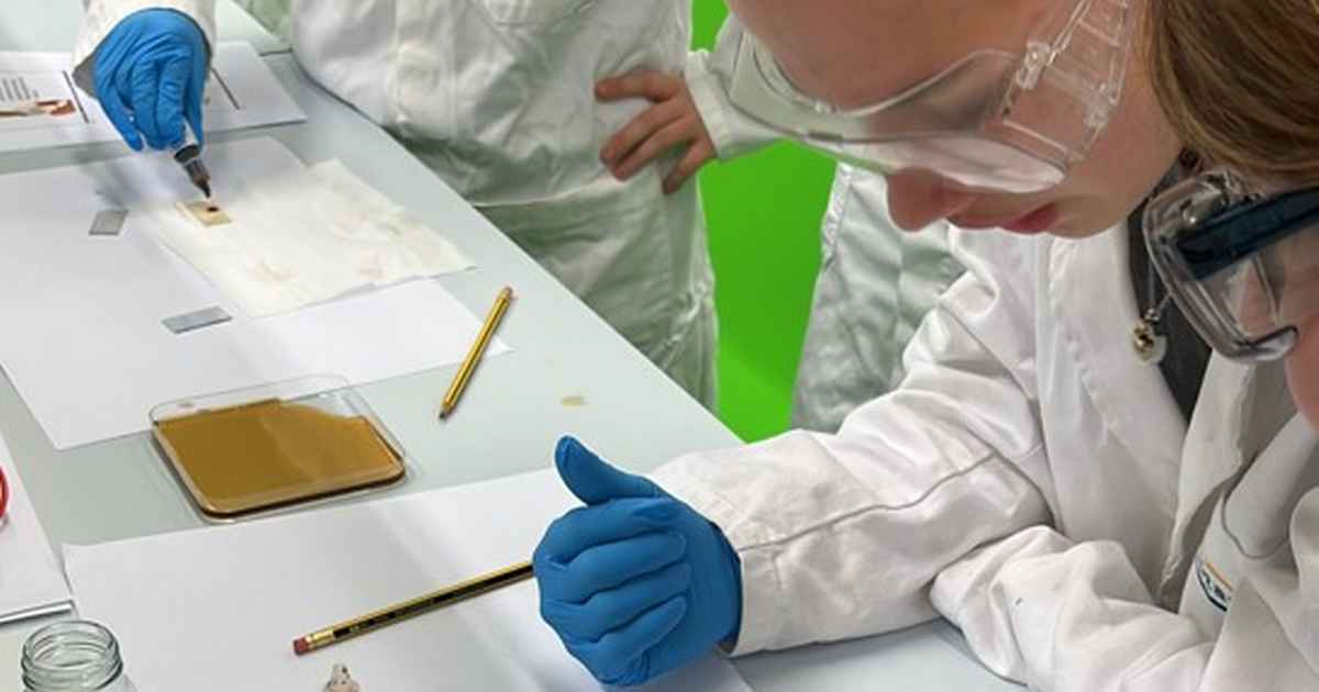 Engaging ‘Chemie in Amsterdam’ programme inspires high school students ...