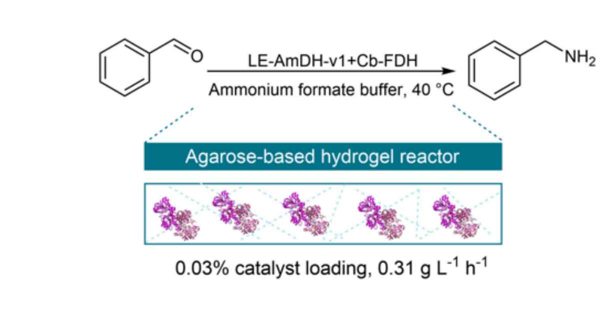 Biocatalytic reductive amination in a 3D-printed continuous flow ...