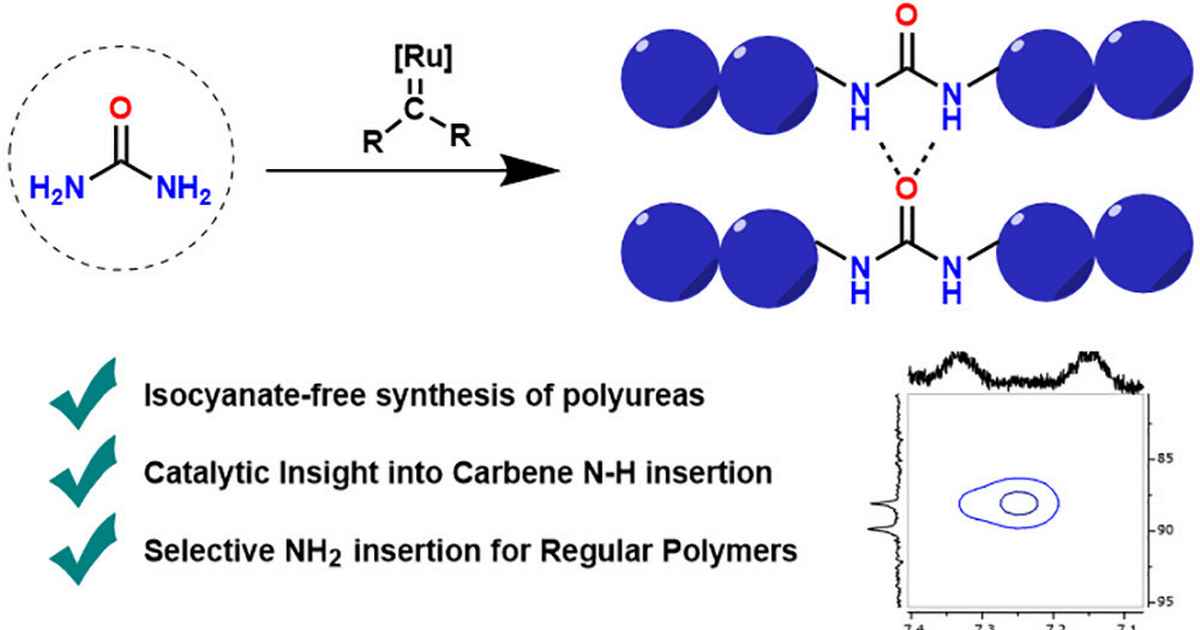 Novel isocyanate-free synthesis of polyurea - HIMS - University of ...