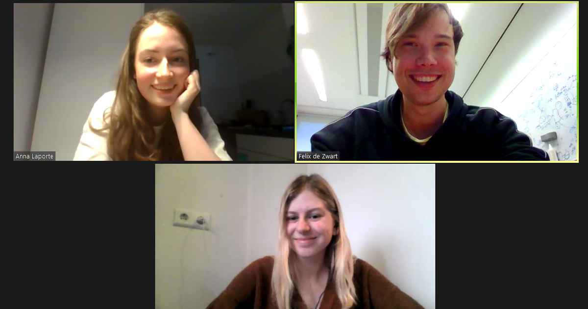 Creative lockdown alternative for chemistry bachelor project leads to scientific paper - HIMS ...