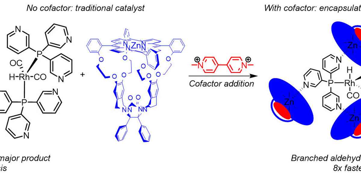 Cofactor switches catalyst - HIMS - University of Amsterdam