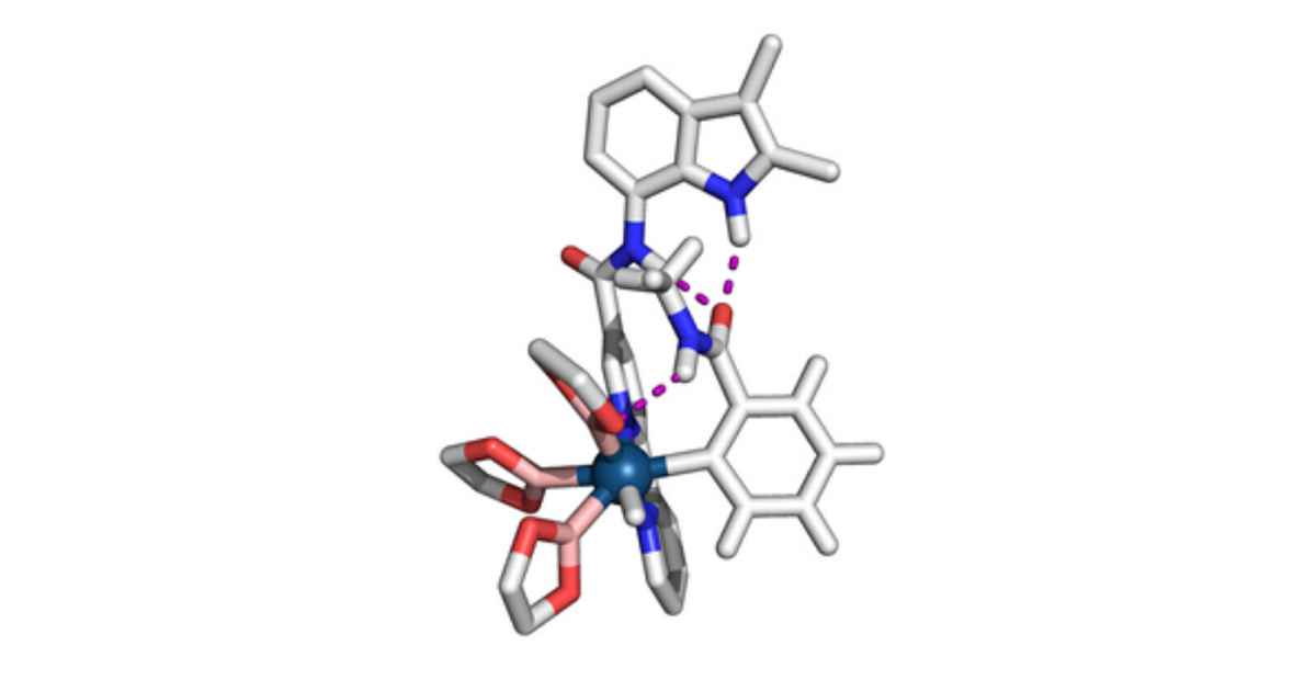 Supramolecular substrate organization makes for a selective H ...