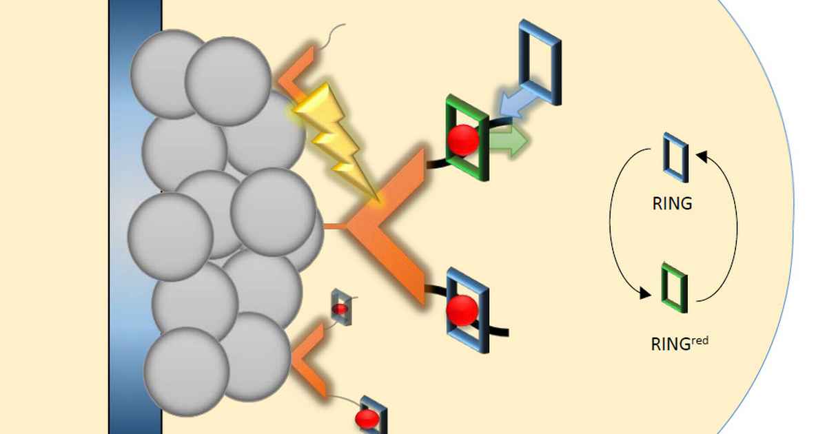 Tessel Bouwens wint posterprijs tijdens Faraday Discussion over ...