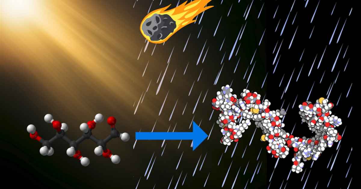 PRELIFE funding for Annemieke Petrignani - HIMS - University of Amsterdam