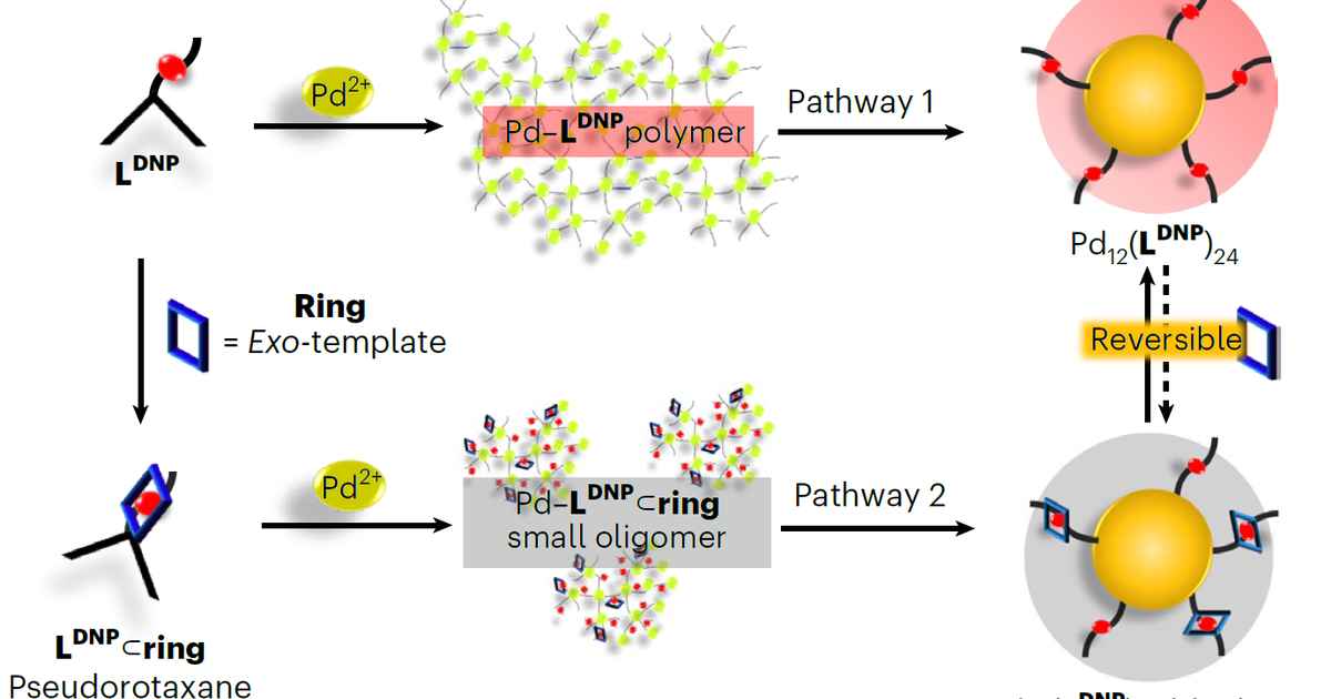 Controlling the pathway of self-assembly using an exo-template - HIMS - University of Amsterdam
