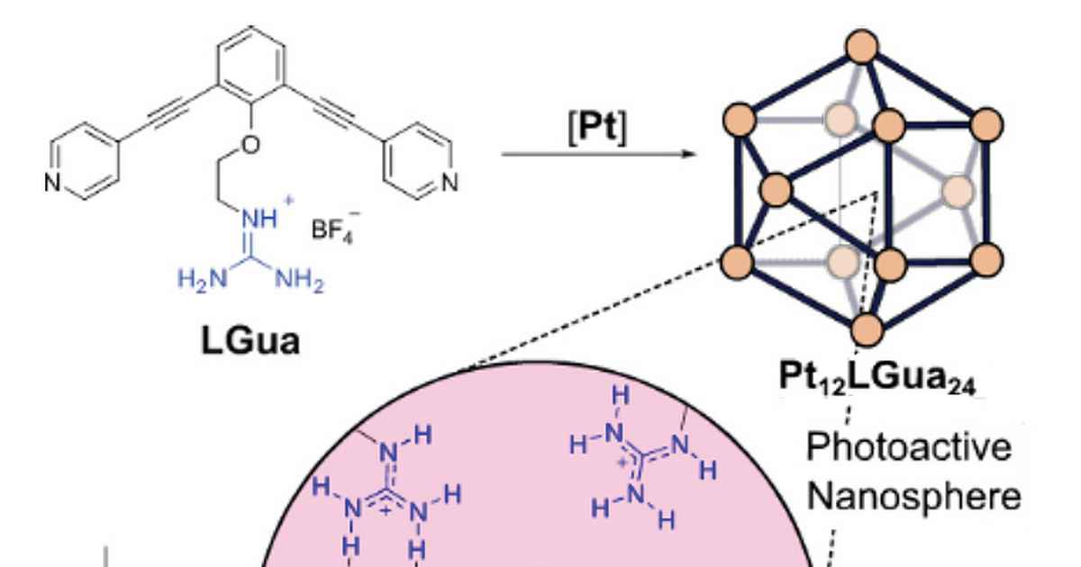 Accelerating decarboxylation catalysis through substrate preorganization in photoactive self ...