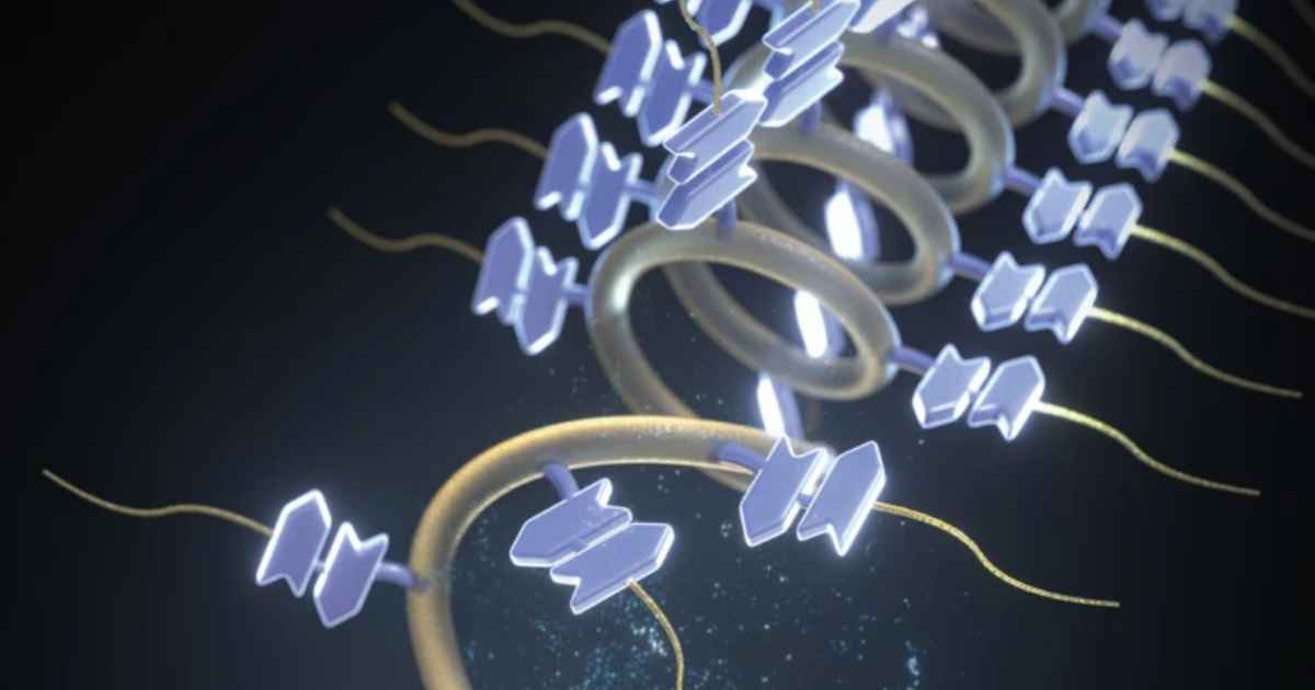 Synthetic ‘foldamer’ mimics key properties of biopolymers - HIMS ...