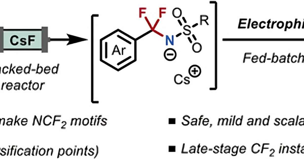 Safe and scalable synthesis of fluorinated amine compounds for ...